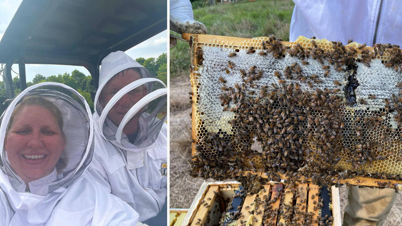 Beekeeping 101 with an Accidental Beekeeper
